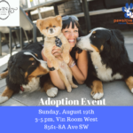 Pawsitive Match Rescue Foundation – Calgary Based Dog and Cat Rescue