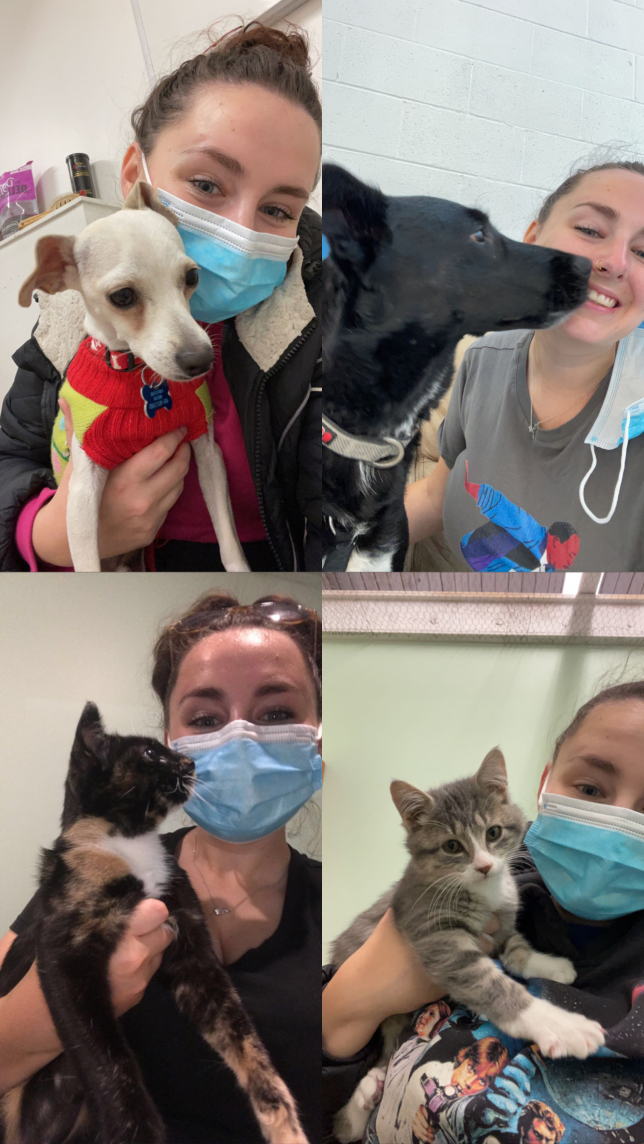 Volunteer With A Calgary Animal Shelter | Apply Today